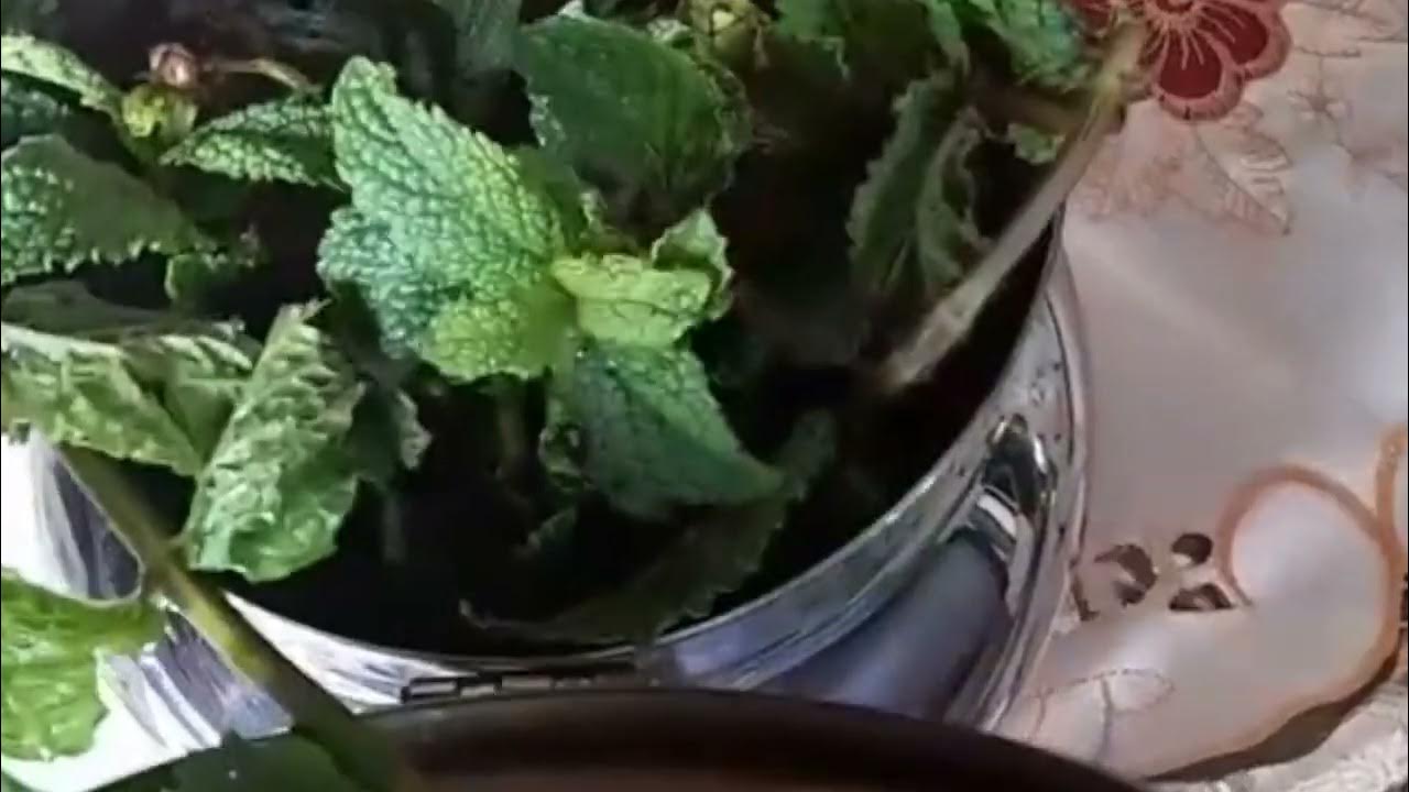 صباح الخير صباح الورد والياسمين على احلى ناس ‹كاس أتاي مشحر 🍯♥️♥️ Youtube