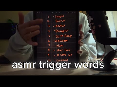 asmr trigger words + some visuals (brushing, stippling, “pat pat”, “coconut”, “perfect”) 💤🧚🏼 ...