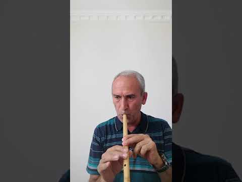 Kaval Havası Ağ Gelin Deli Çoban Aşık Aziz Akgül