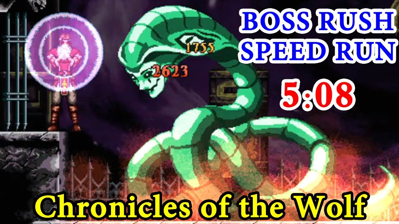 Chronicles of the Wolf - Boss Rush SPEED RUN 5:08 - YouTube