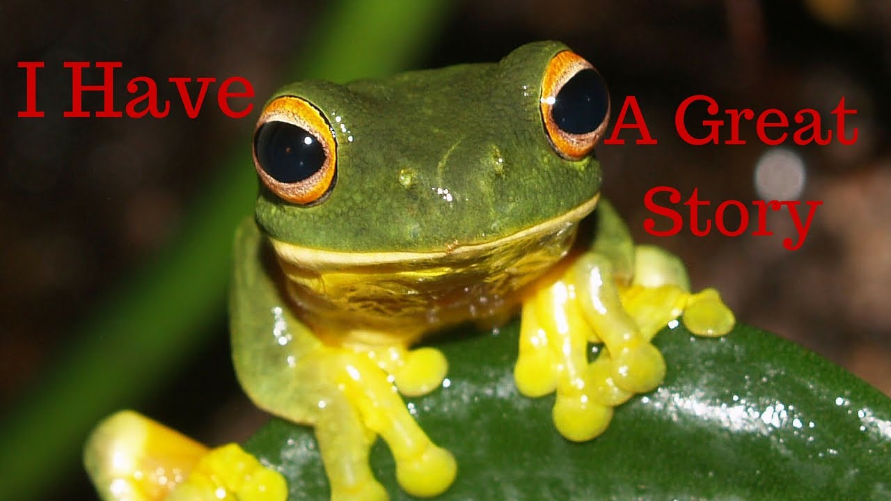 Story's Are Powerful Marketing Tools - Like Jim Smiley And His Jumping ...