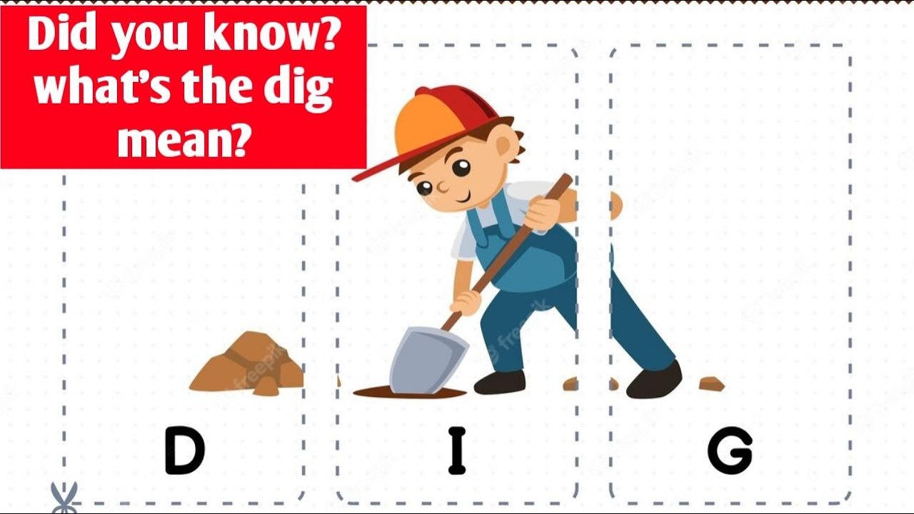 What's the dig mean?#shorts #shortvideo - YouTube