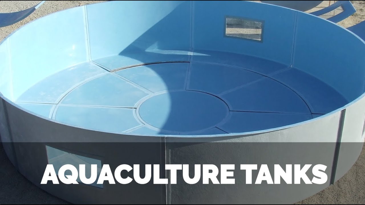 Aquaculture Tanks & Accessories - IAS, Inc. - YouTube