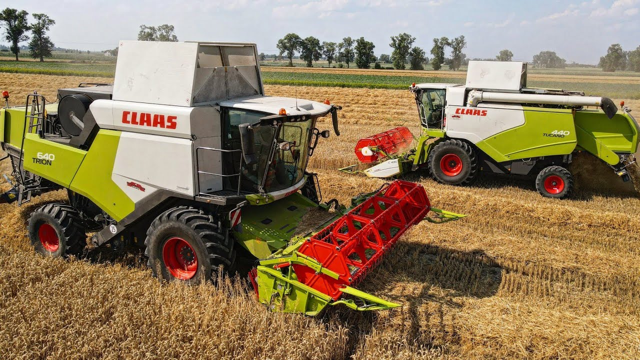 ŻNIWA PSZENICY 2024 NA DWA KOMBAJNY🔥CLAAS TRION 640 & TUCANO 440 - YouTube