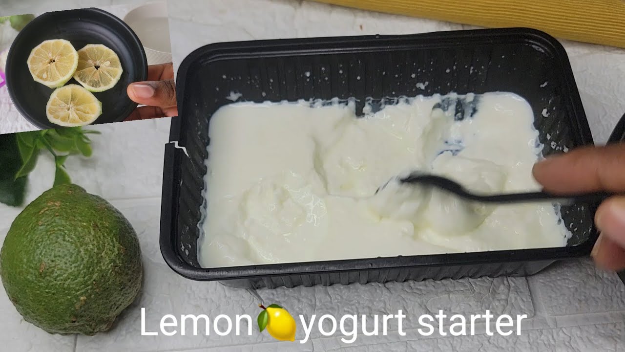 HOW TO MAKE YOGURT STARTER FROM SCRATCH USING LEMON 🍋 || THIS CAN HELP ...