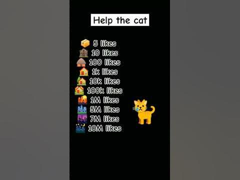 Help the cat 6 😿 - YouTube