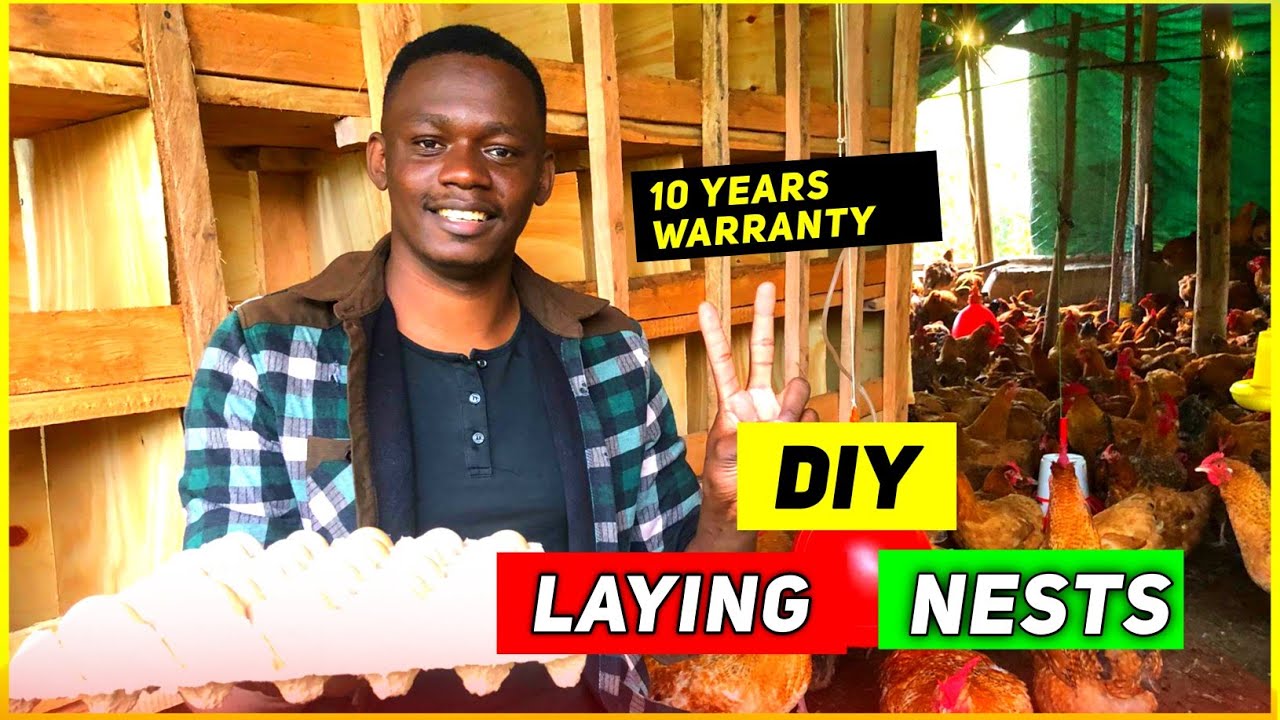 How To Make Laying Nests for Poultry - YouTube