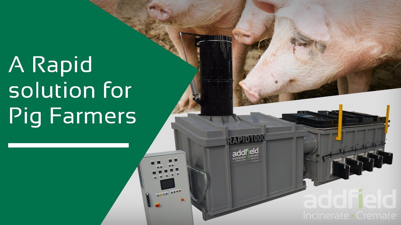 Mobile Rapid 1000 For Combatting African Swine Fever - YouTube