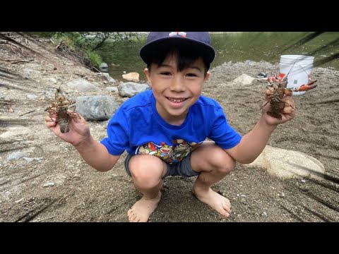 How to catch crawfish! (Crawfish hunting with a 5 YEAR OLD) - YouTube