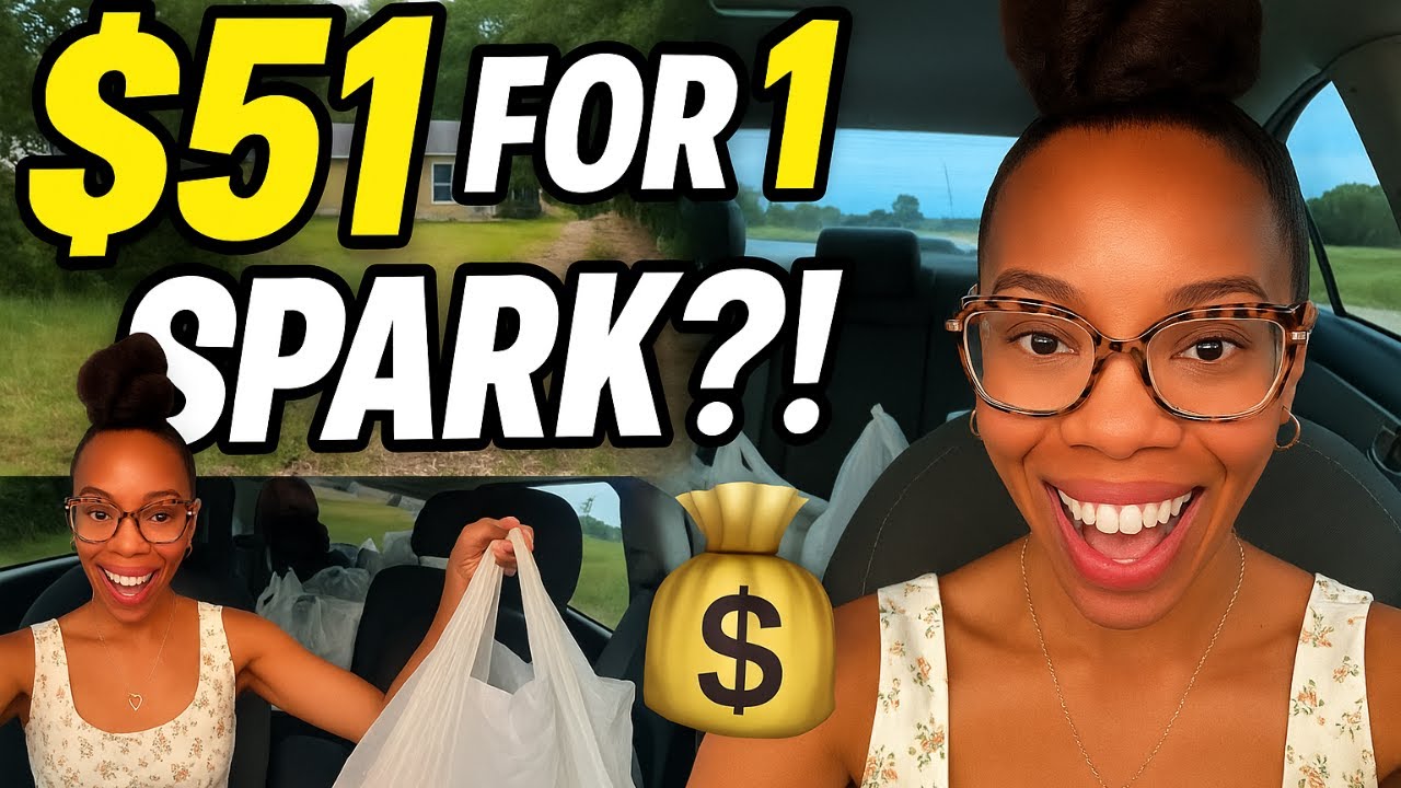 $51 Spark Order for 1 Delivery?! Worth It or Nah? - YouTube