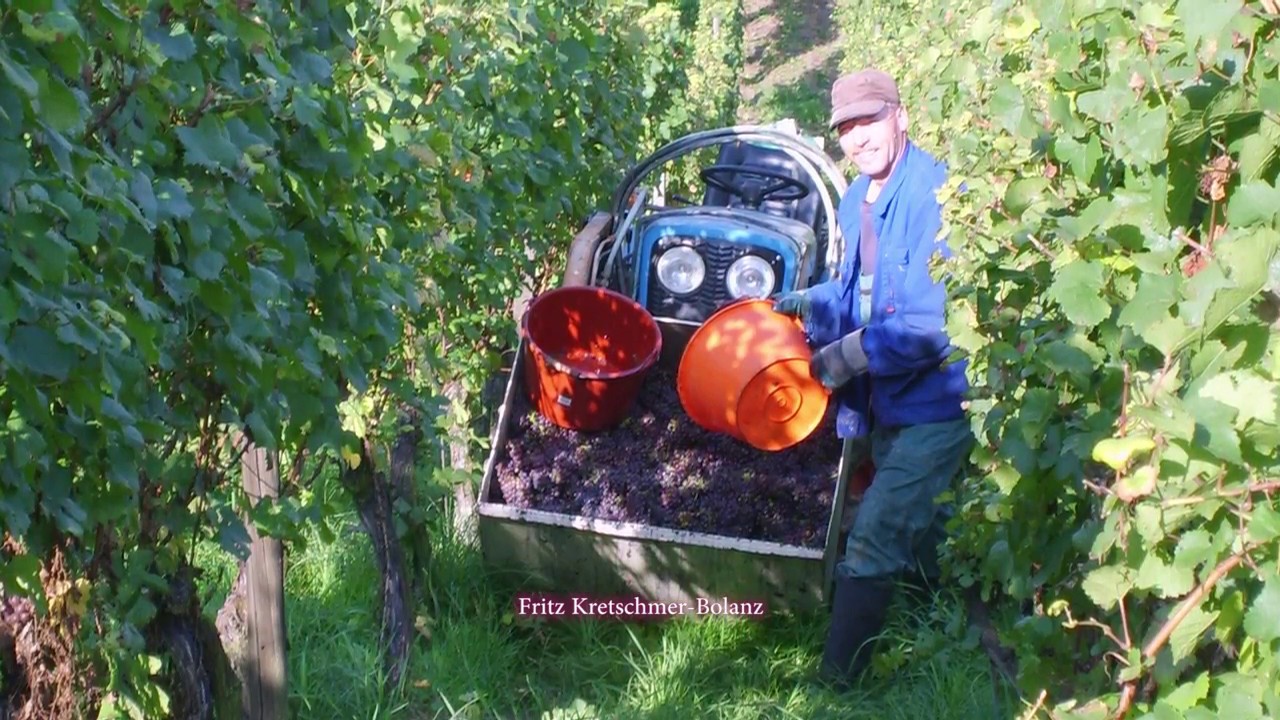 Weingut Bolanz..ein Slider von Chili Clips - YouTube
