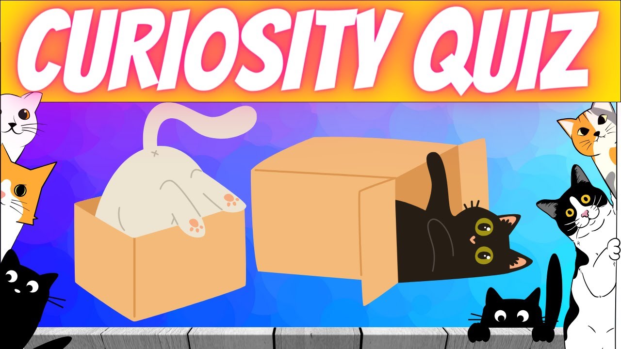 Discover your Genius inside with a Curiosity Quiz ! - YouTube