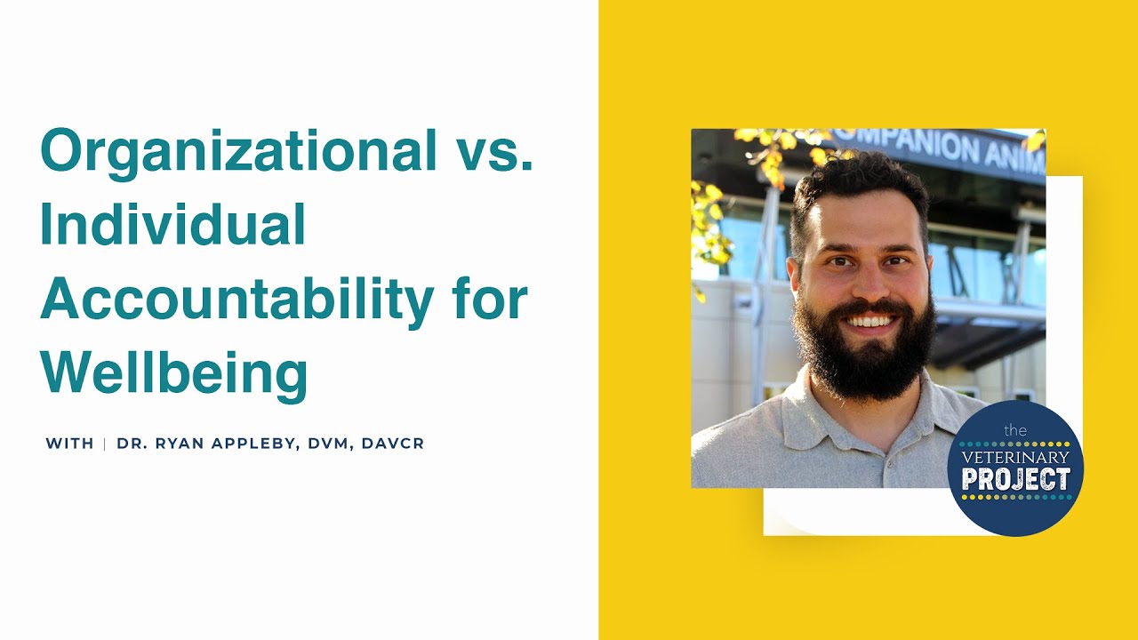 Organizational vs. Individual Accountability for Wellbeing - YouTube