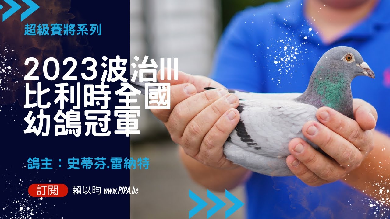 保時捷王朝：2023🏆【波治III】【幼鴿】全國19,379羽冠軍-鴿主：史蒂芬.雷納特 ( Reynaerts Stephen)-【大師 ...