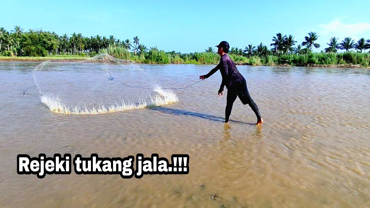 JALA IKAN DI PAGI HARI, DAPAT BANYAK.!!! traditional fishing nets - YouTube