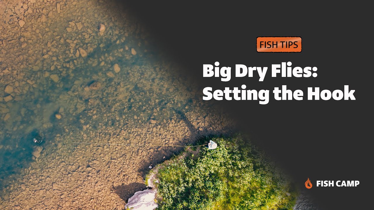 Fish Tips: Setting the Hook When Using Big Dry Flies - YouTube