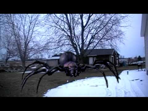 Attack Of The Giant Spider (Stop Motion Short) - YouTube