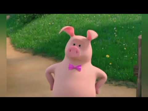 evlilik hakkında herşey 5 bölüm video
