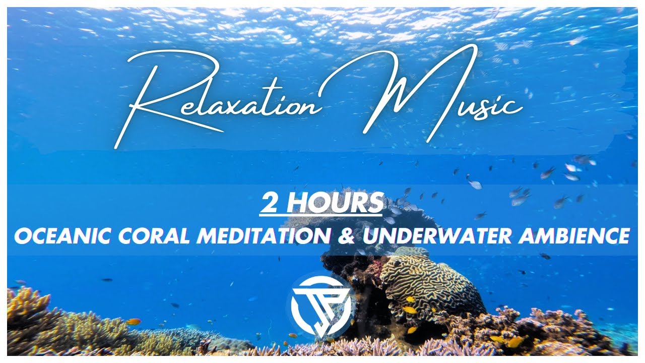 Oceanic Coral Meditation | Underwater Ambience & Marine Life - YouTube