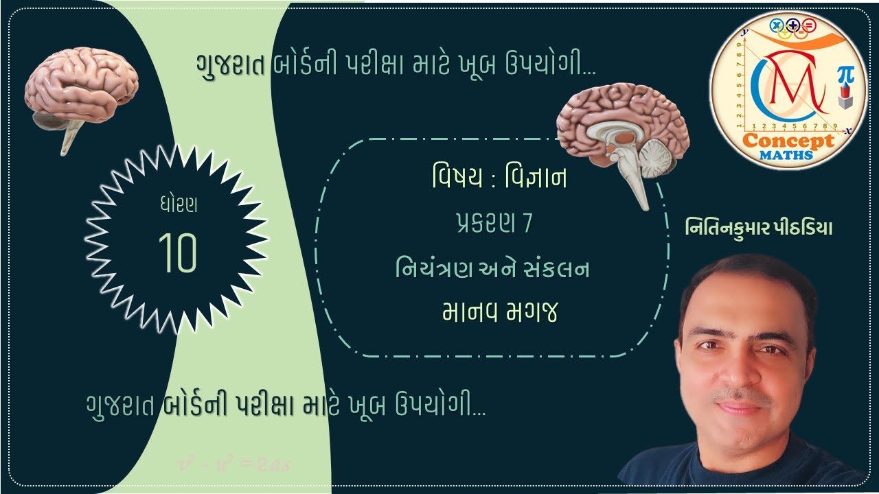 Human Brain || માનવ મગજ || Class 10 - YouTube
