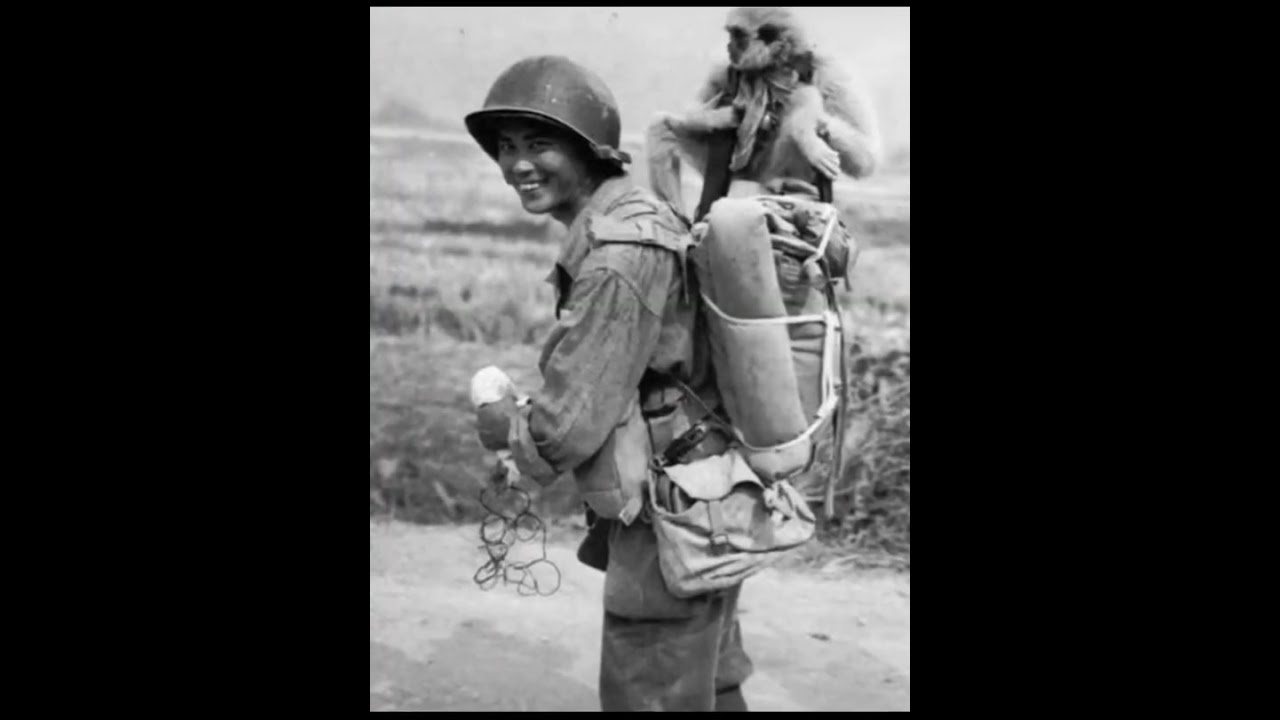 Funny WW2 pictures - YouTube