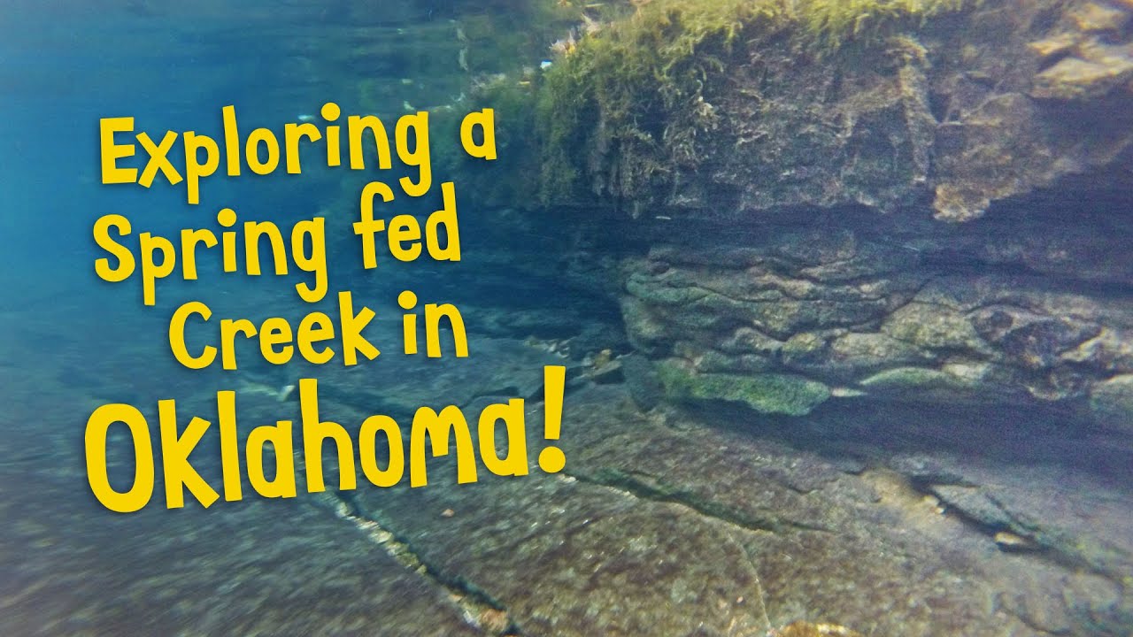 Exploring a Spring Fed Creek in Oklahoma! - YouTube