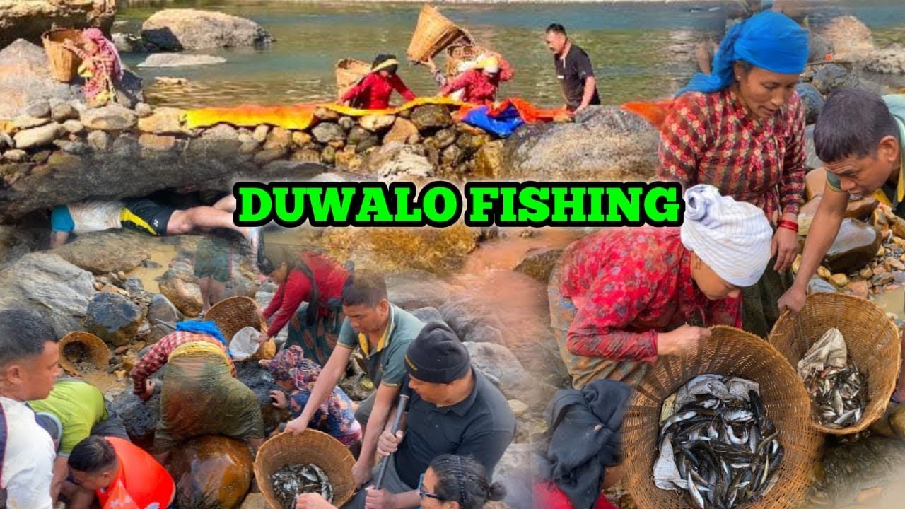 DUWALO FISHING IN NEPAL ! NATURAL FISHING !BUDUNA MACHA, BAAM MACAH ...