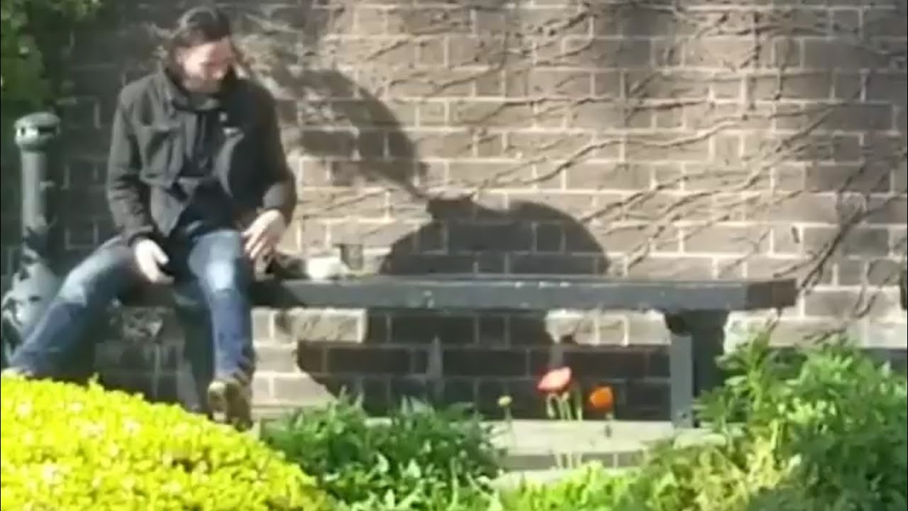 Keanu Reeves Sitting Alone in Garden Saturday, June 13, 2020 - YouTube
