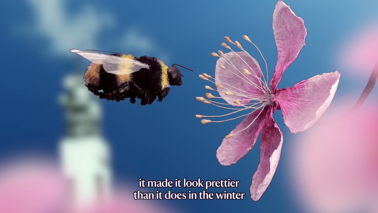 Blossom Together - Bringing Blossom to Birmingham - YouTube