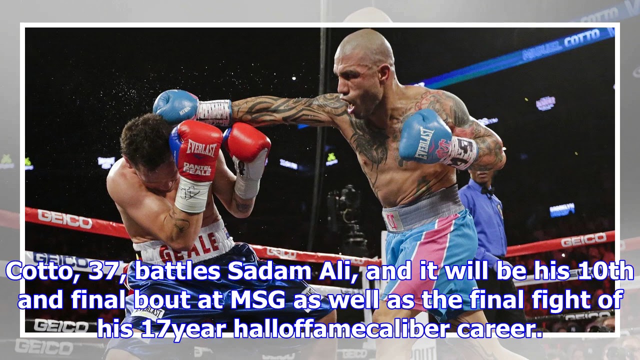 Legendary boxing miguel cotto fight will last Msg - YouTube