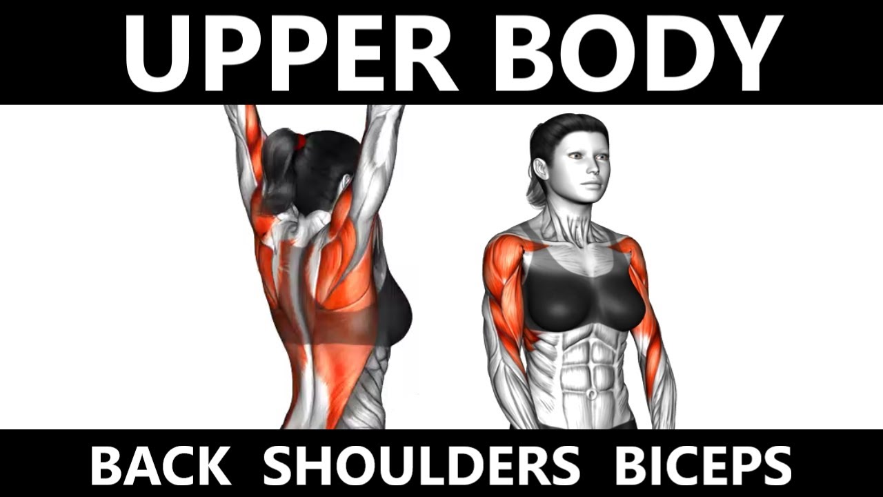 UPPER BODY WORKOUT FOR WOMEN | MUSCLE BUILDING WORKOUT | DUMBBELL ...
