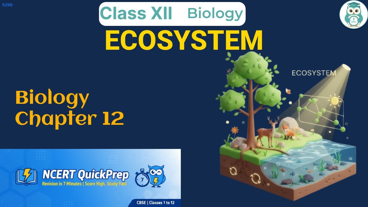 ECOSYSTEM | Class 12 Biology Chapter 12 | CBSE NCERT | Quick Revision ...