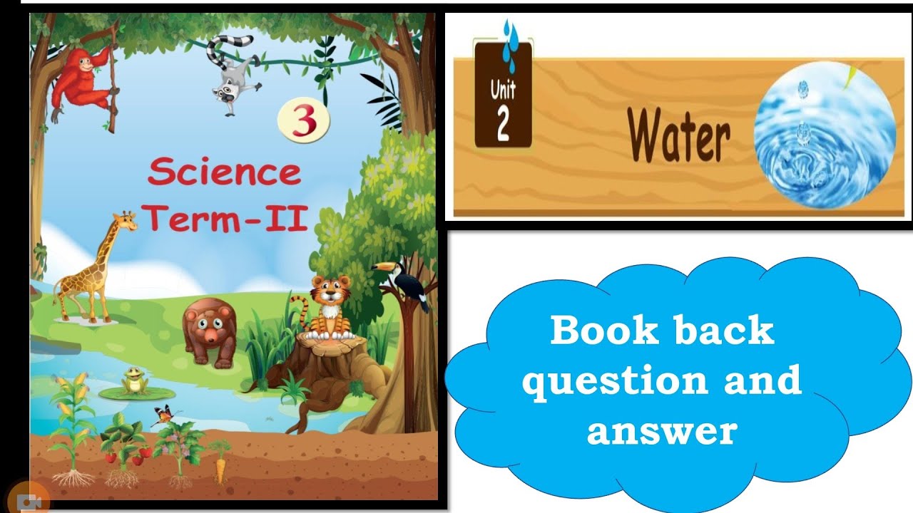 3rd std science/ water/ book back question and answer - YouTube