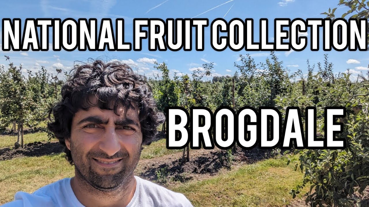 Keepers Nursery, visiting the national fruit collection at Brogdale ...