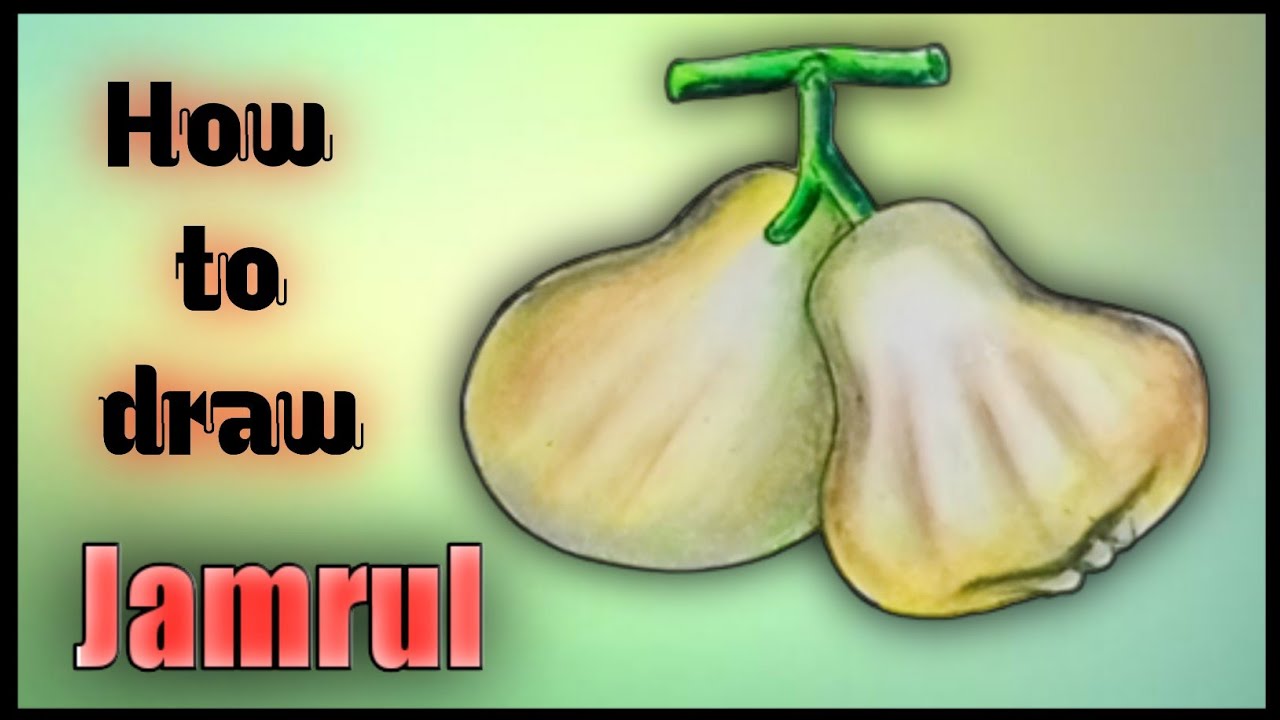 jamrul drawing in easy way 🍐rose jamrul drawing for beginners step by ...