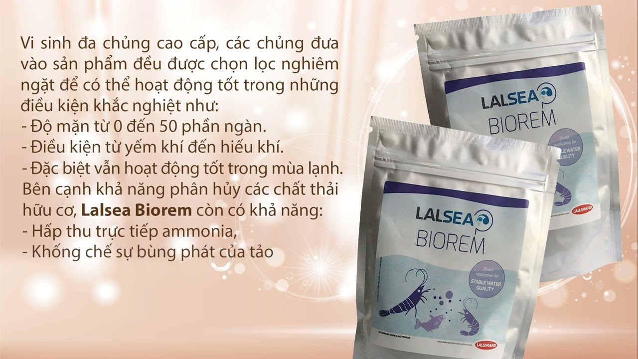 LALSEA BIOREM - CẢI THIỆN CHẤT LƯỢNG NƯỚC AO NUÔI | HÀNH TRÌNH NUÔI TÔM ...