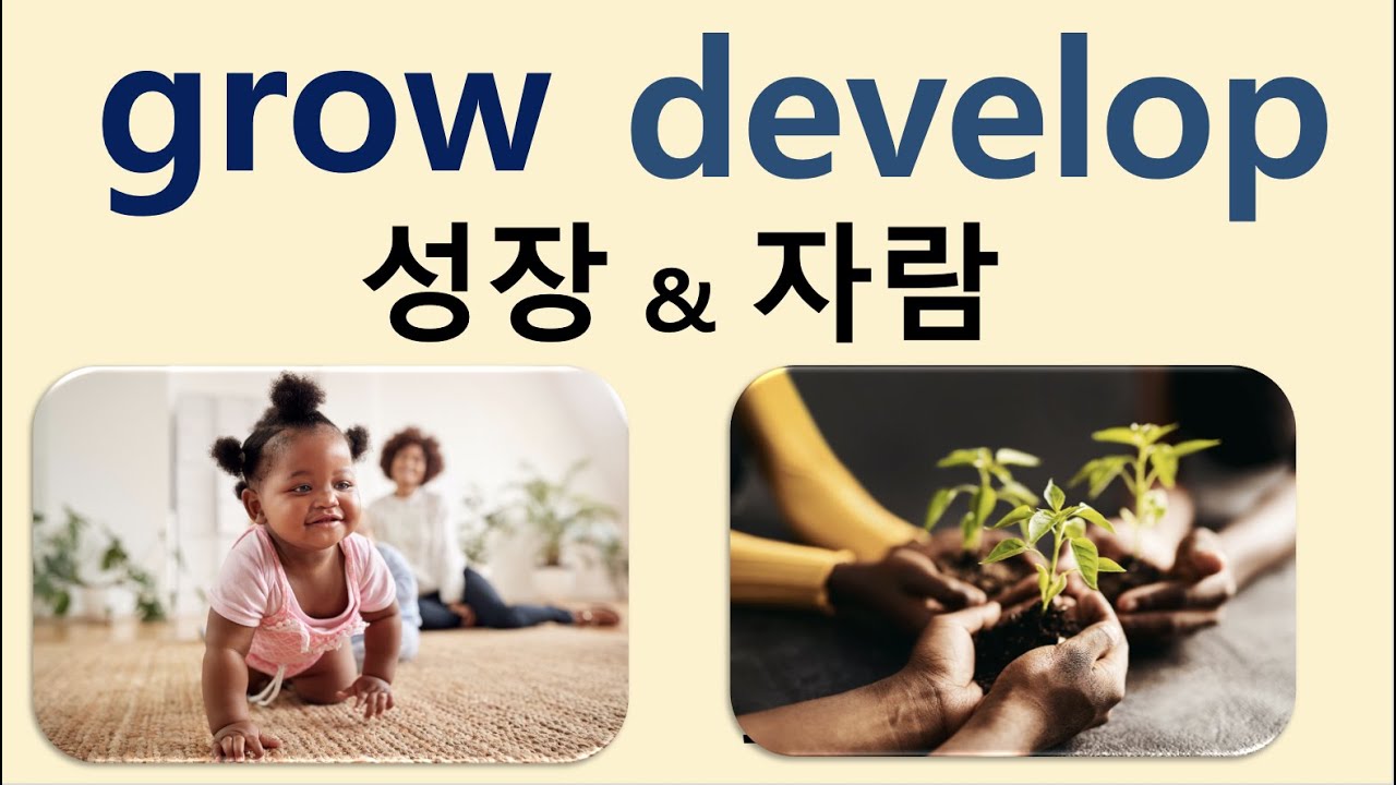 Q5 English 어휘 Lesson 1402 (개발하다, 성장하다, 자라다 – grow vs develop 1) - YouTube