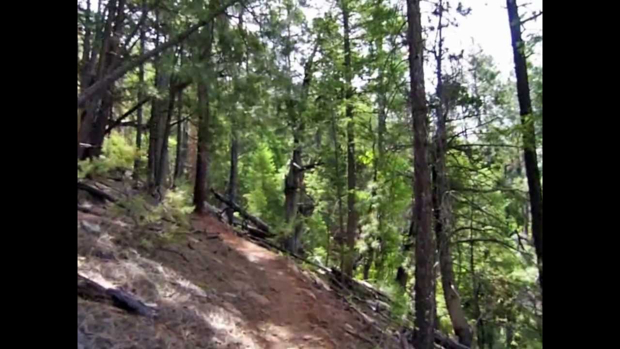 Mogollon Rim Hike - Military Sink Hole Trail, General Crook Trail, Rim ...