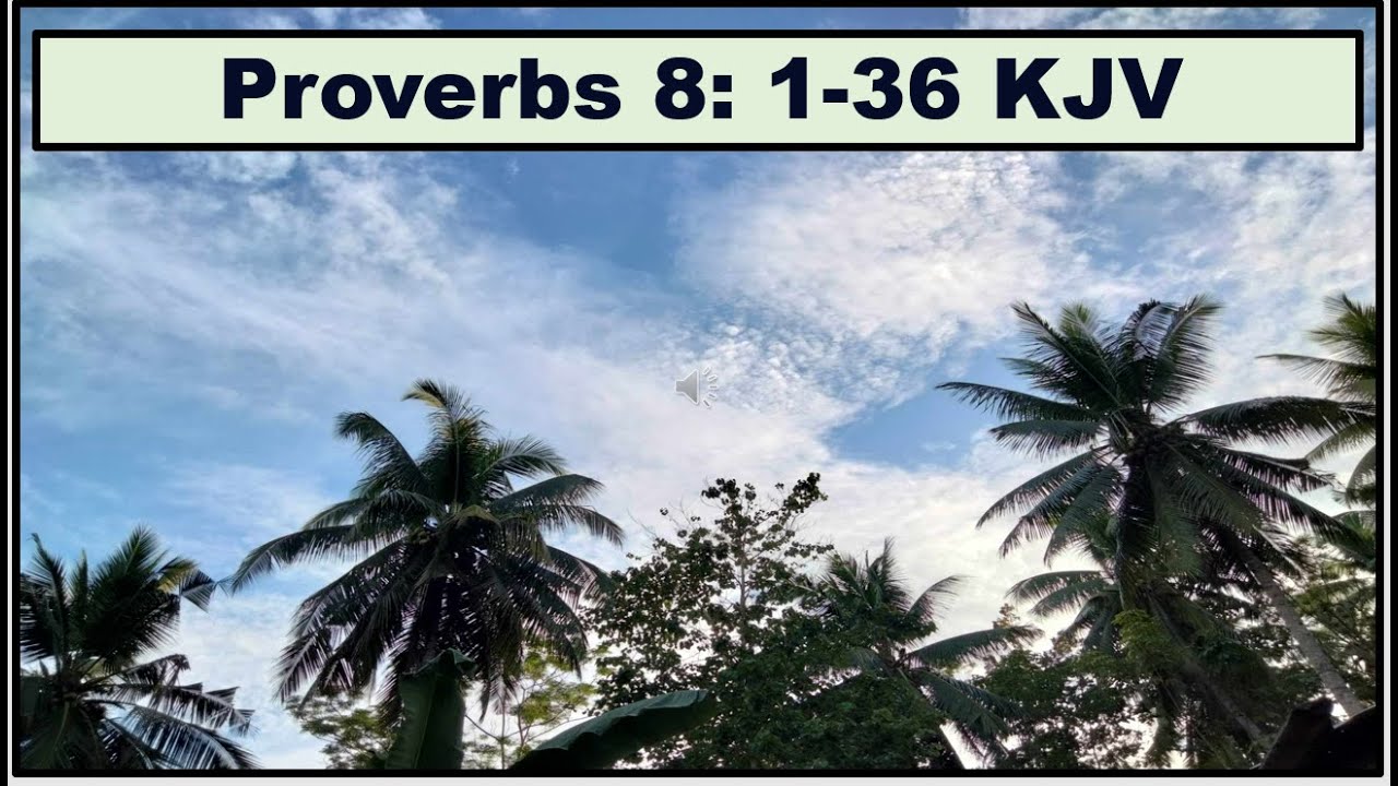 Proverbs 8 KJV - YouTube