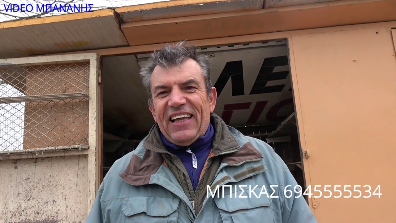 ΜΠΙΣΚΑΣ ΣΥΛ ΠΑΝ ΦΑΝ ΘΕΣΣΑΛ, ΠΕΤΑΕΙ ΠΑΝΤΟΣ ΚΑΙΡΟΥ 2020 - YouTube