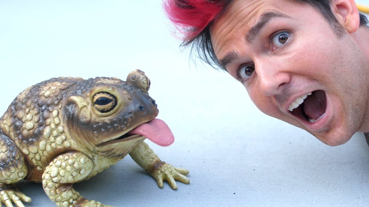 Petting Biggest Frog Surprise! - YouTube