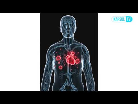 Kalp Kapakçığı Kalınlaşması Nedir? Neden Olur?