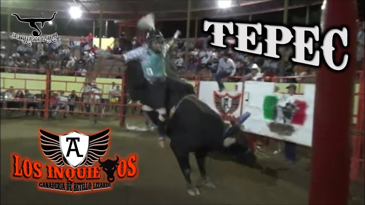 ASI LLEGARON LOS TOROS A LA PLAZA!!! LOS INQUIETOS DE BETILLO LIZARDI ...