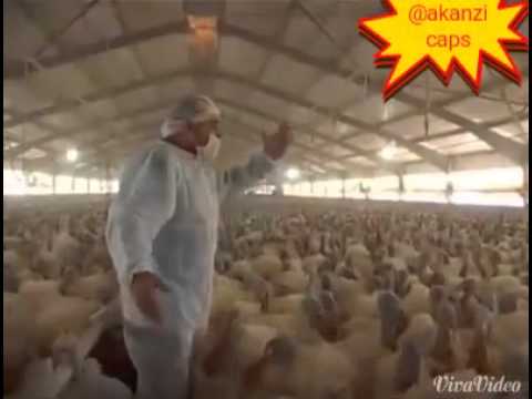 Siyasi partilerin secim mitingleri