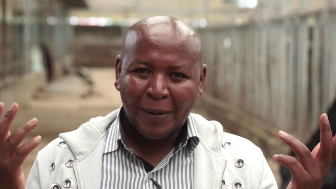 Alex Gitonga, Kenya's dairy champion - Africa Lead Champion for Change profile. - YouTube