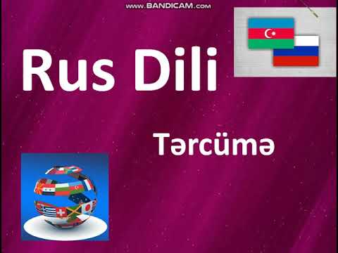Rus dili Tərcümə1