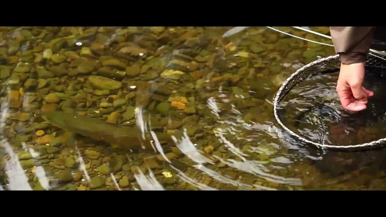 Greys GR70 Streamflex and Streamflex Plus Rods - YouTube