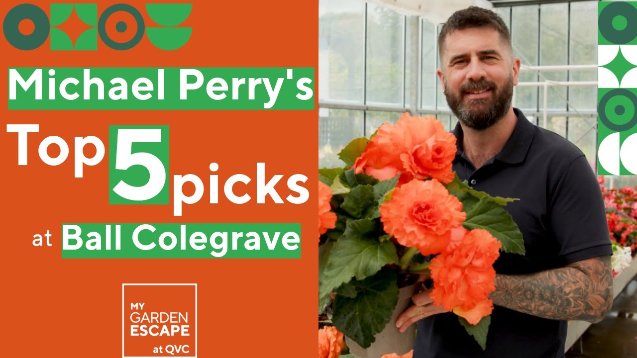 Michael Perry's Top 5 Picks at Ball Colegrave! | QVCUK - YouTube