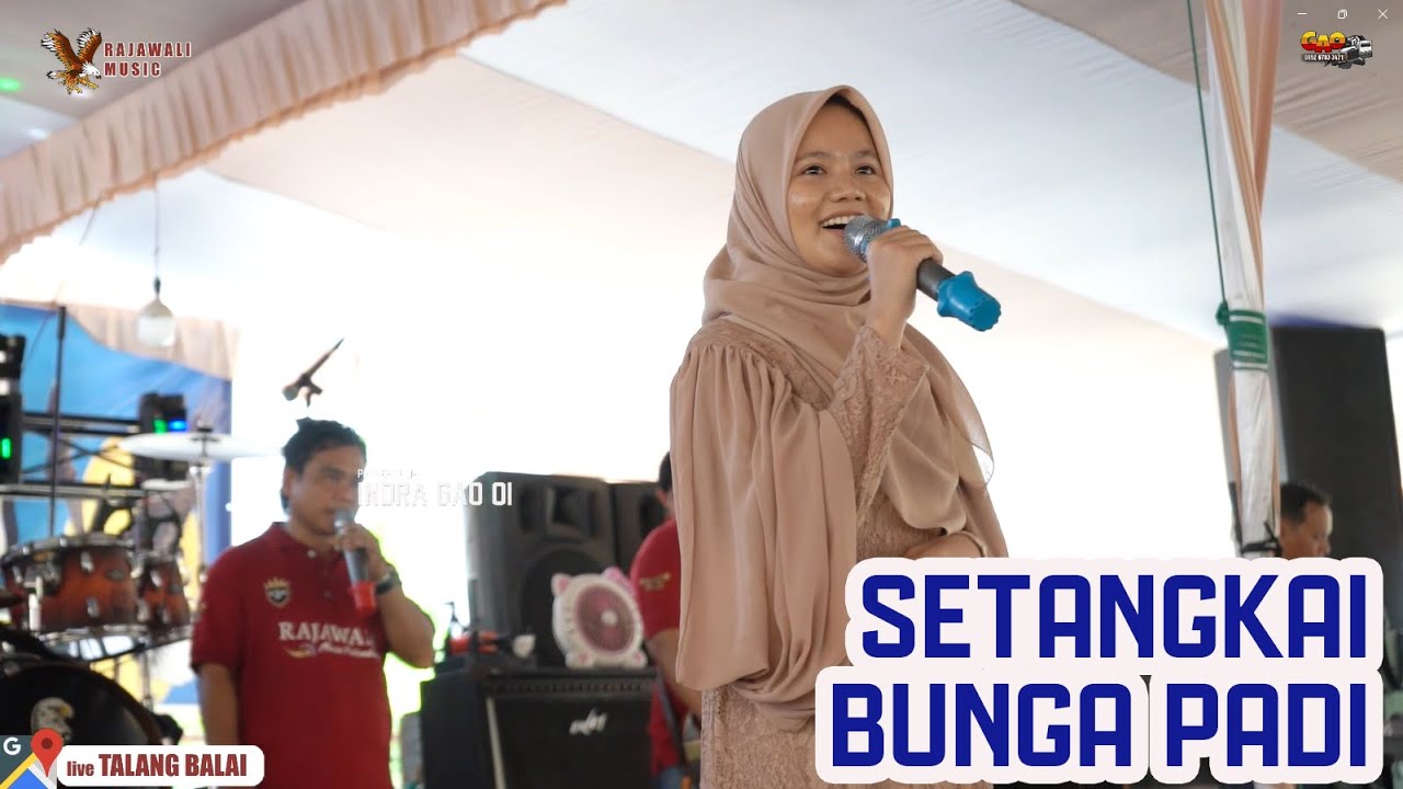 GADIS MANIS BERSUARA MERDU BAWAKAN SETANGKAI BUNGA PADI BERSAMA ...