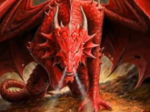 Abou POS Gracintel fapus  Aicide